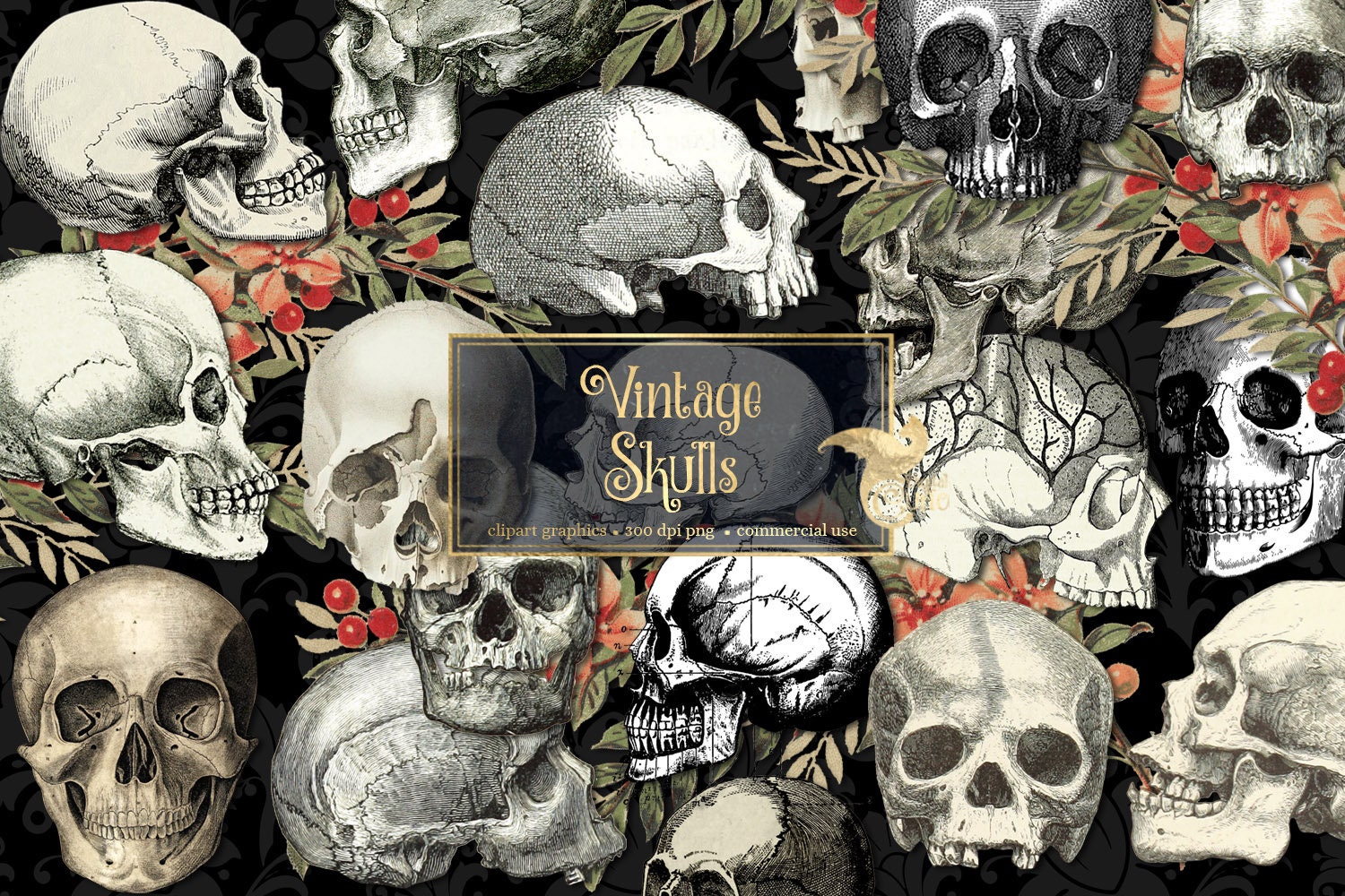 Vintage Skull Clipart Antique Illustrations of Human Skulls - Etsy