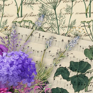 Botanical Ephemera Digital Paper, Vintage Textures, Old Printable ...