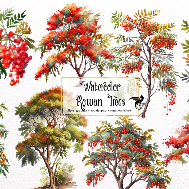 Rowan Tree Art - Etsy