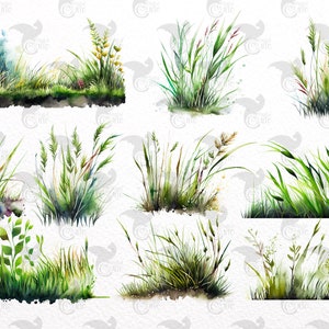 Watercolor Grass Clipart - Spring Tufts of Grass Botanical PNG Format ...