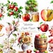 Watercolor Apples Clipart - Digital Png Apple Harvest Graphics for ...