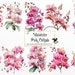 Watercolor Pink Antique Clipart - Vintage Shabby PNG Format Instant ...