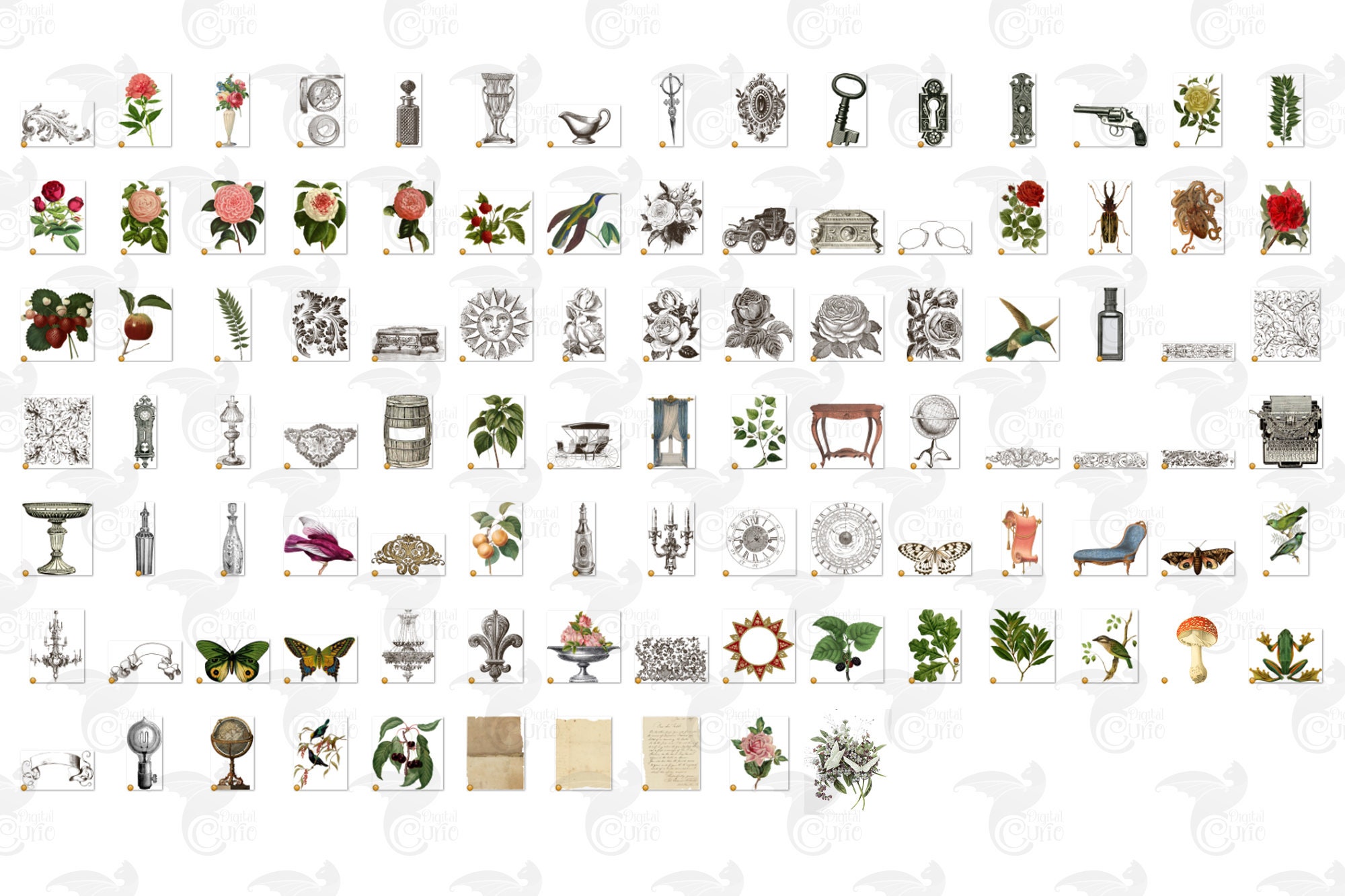 100 Old Things Clip Art Vintage Antique Objects and Overlays | Etsy