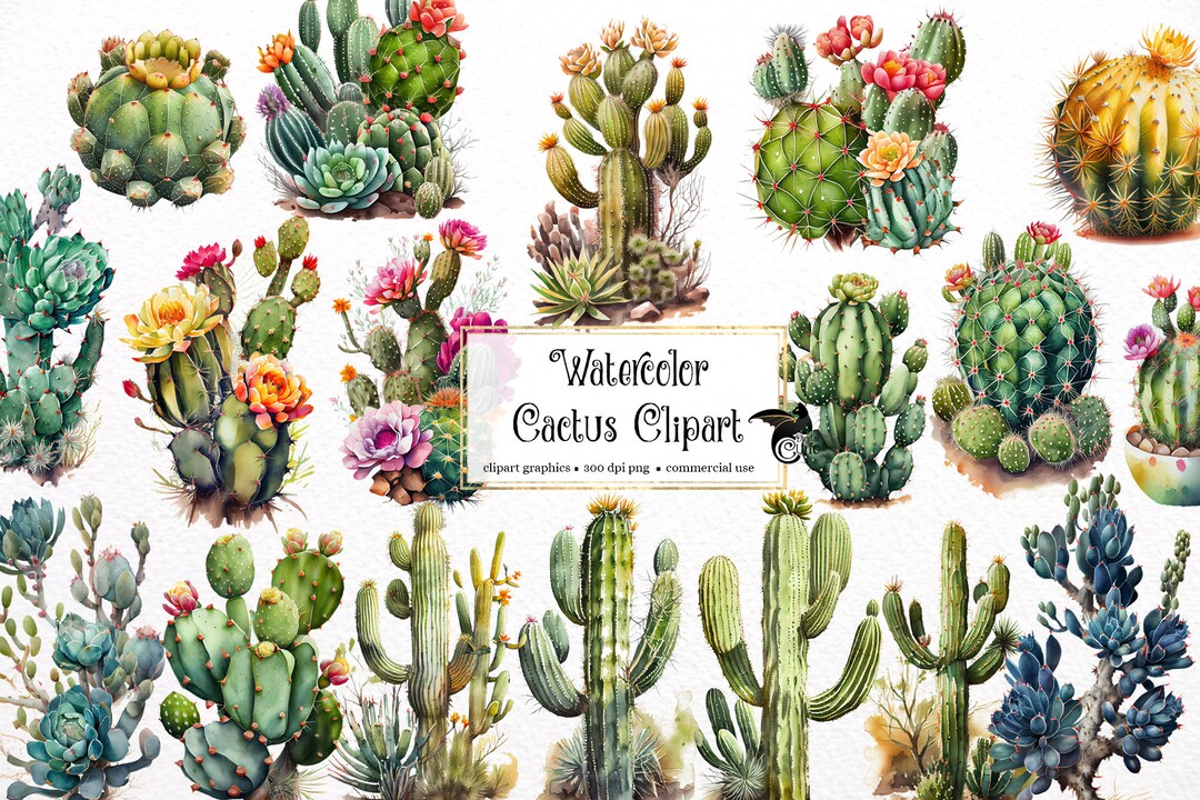 Watercolor Cactus Clipart - Desert Cacti PNG Format Instant Download ...
