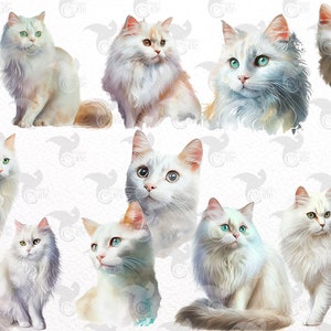 Watercolor White Cats Clipart - Cute Cats and Kittens PNG Format ...
