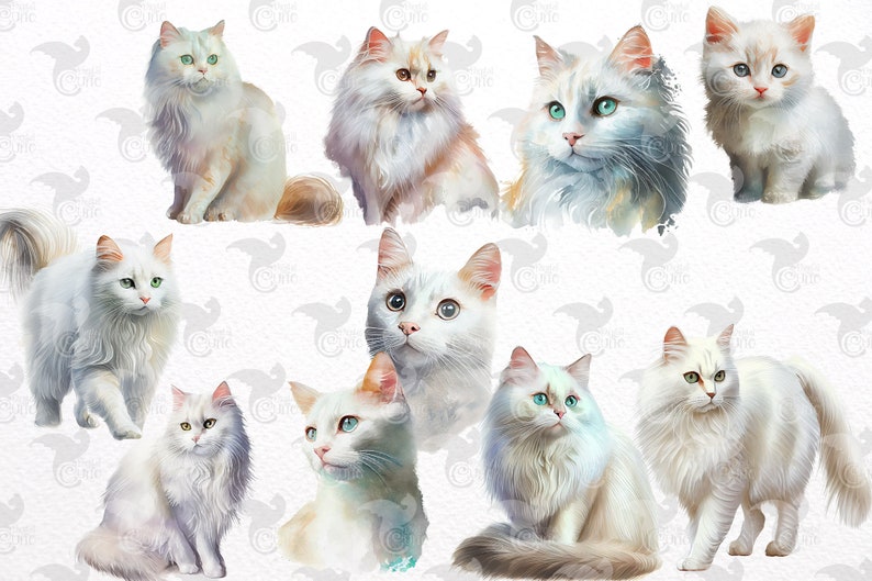 Watercolor White Cats Clipart Cute Cats and Kittens PNG - Etsy UK