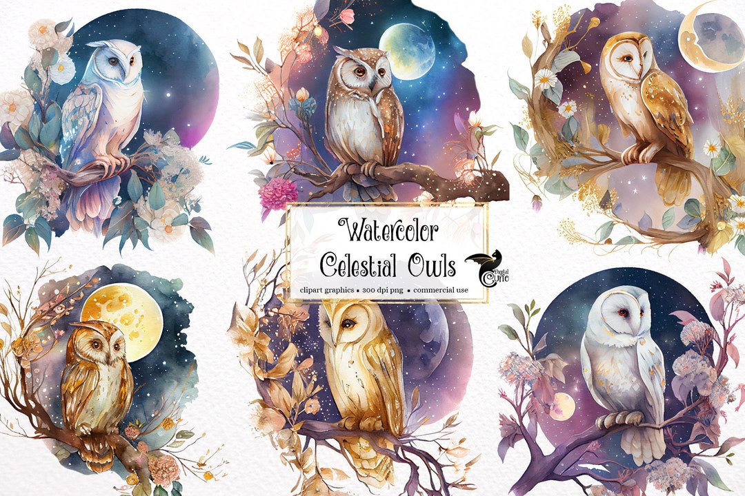 Watercolor Celestial Owls Clipart - Galaxy Fantasy Owl Clip Art in PNG ...