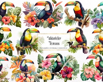 Watercolor Tropical Birds Clipart Tropical Birds With Hibiscus and ...