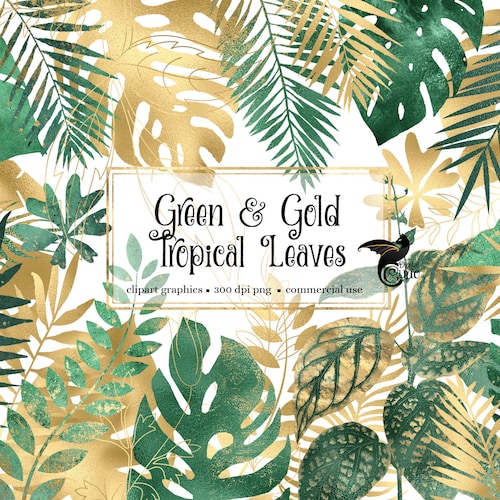 Tropical Leaves Clipart Green Palm Leaves Monstera Leaf Png - Etsy