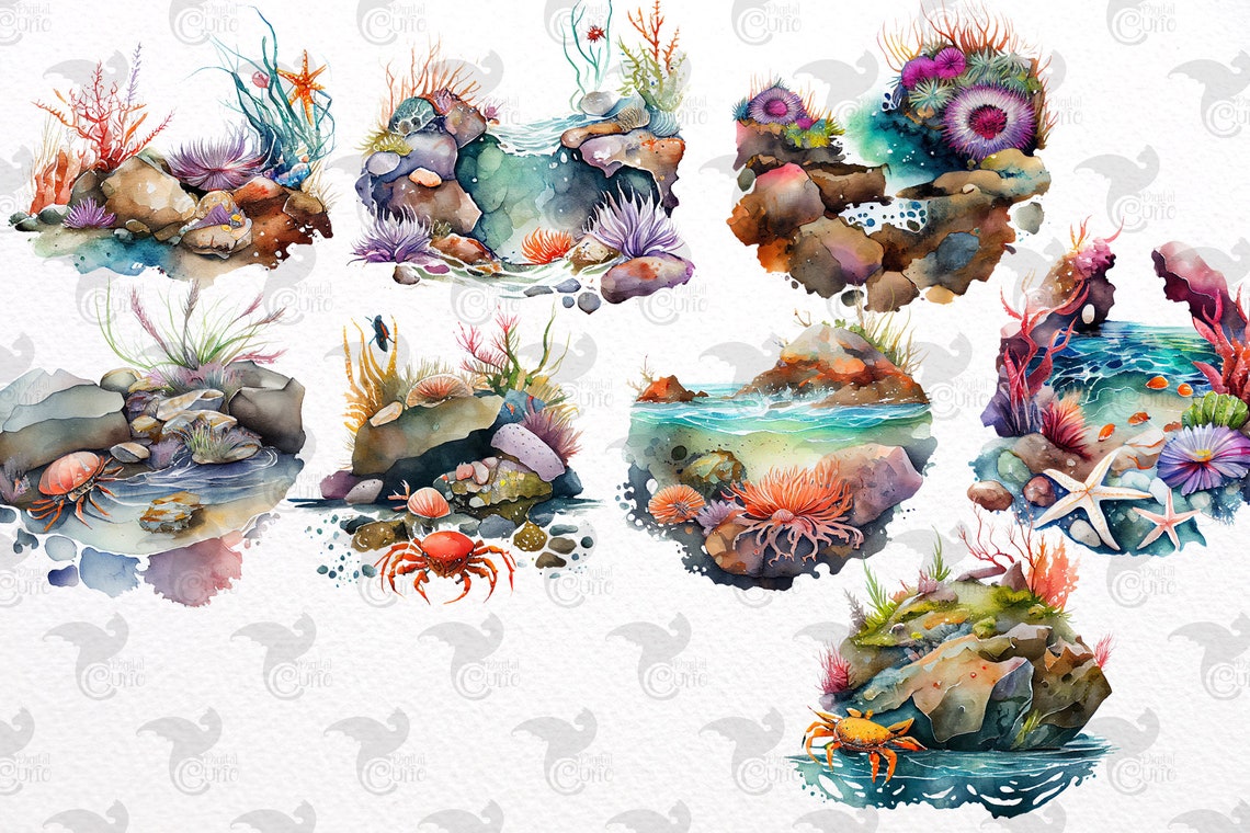 Watercolor Tidepool Clipart Ocean Seascape Scene PNG Format - Etsy