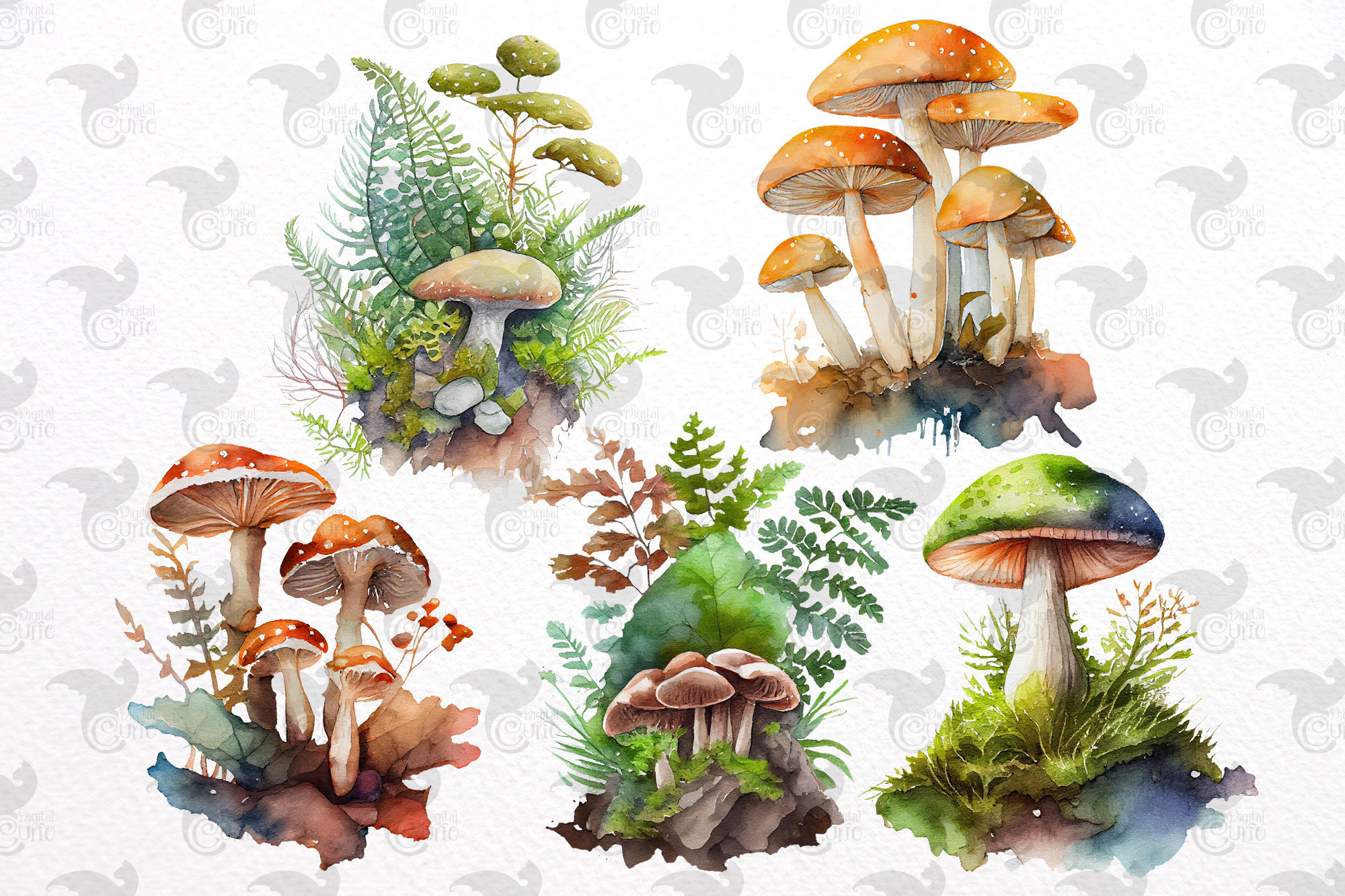Watercolor Mushrooms Clipart Cute Forest Nature Toadstool - Etsy Canada