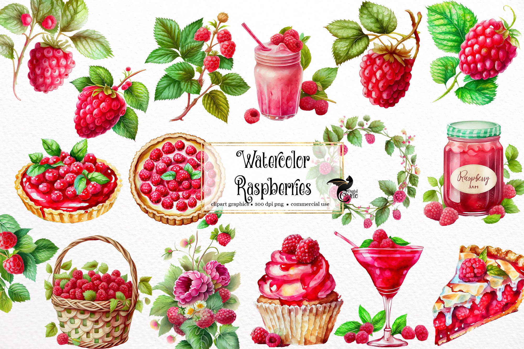 Watercolor Raspberry Clipart Digital Png Raspberry Graphics - Etsy Canada