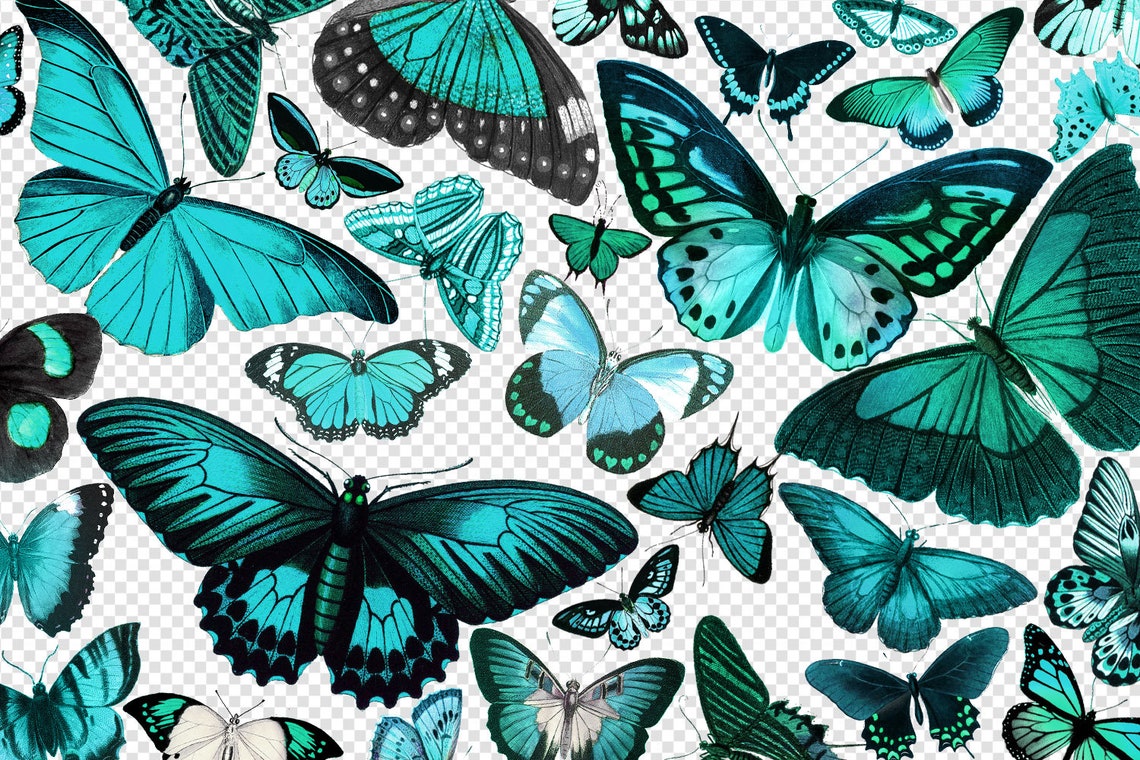 Vintage Turquoise Butterflies Vintage Butterfly Clipart - Etsy