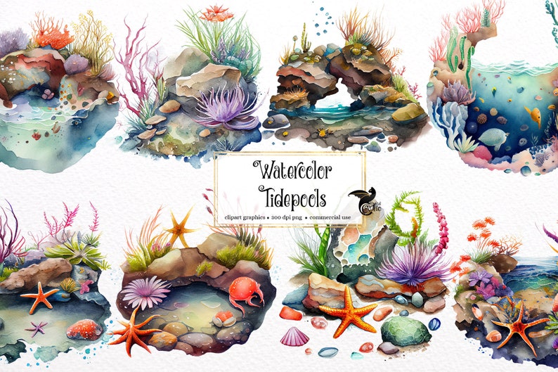 Watercolor Tidepool Clipart Ocean Seascape Scene PNG Format - Etsy