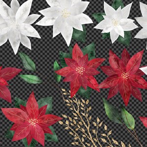 Watercolor Poinsettias Clip Art - Digital Christmas Holiday Flowers in ...