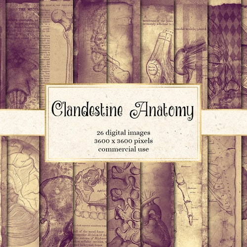 Vintage Anatomy Digital Paper Seamless Anatomical - Etsy