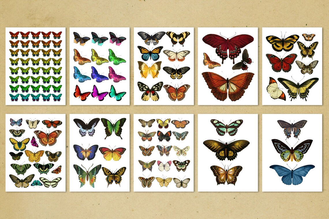 Butterfly Collage Digital Paper, 8.5x11 Printable Sheets With Vintage ...