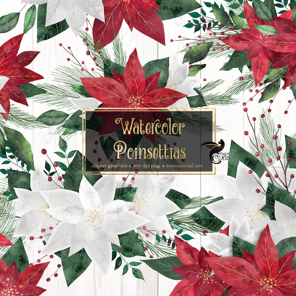 Poinsettia Watercolor - Etsy
