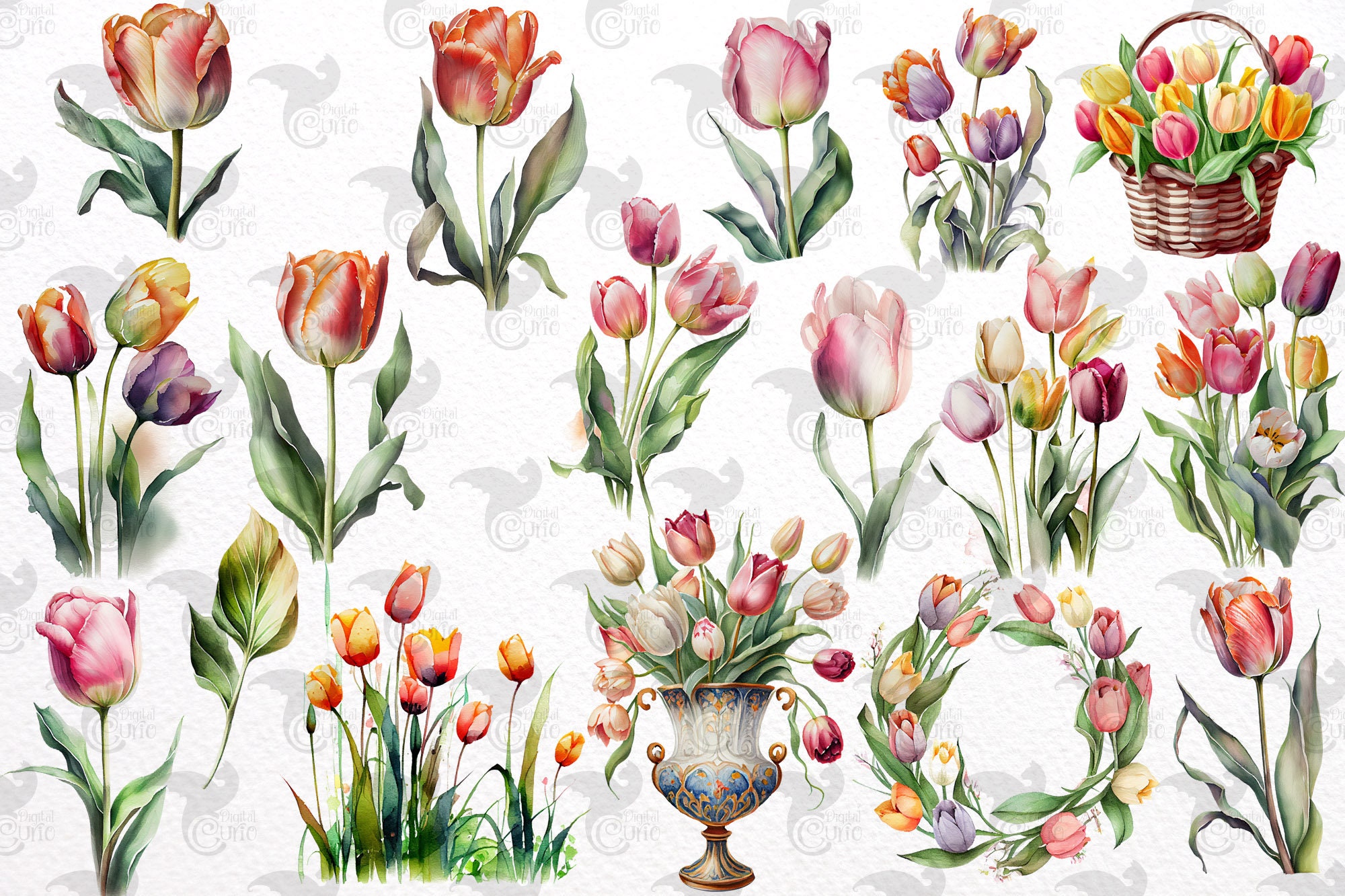 Watercolor Tulips Clip Art PNG Format Flower Clipart Instant - Etsy