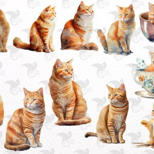 Watercolor Orange Cats Clipart - Cute Floral Tabby Cats and Kittens ...