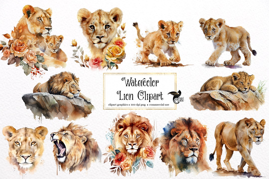 Watercolor Lion Clipart – African Animals PNG, Commercial Use (digital ...