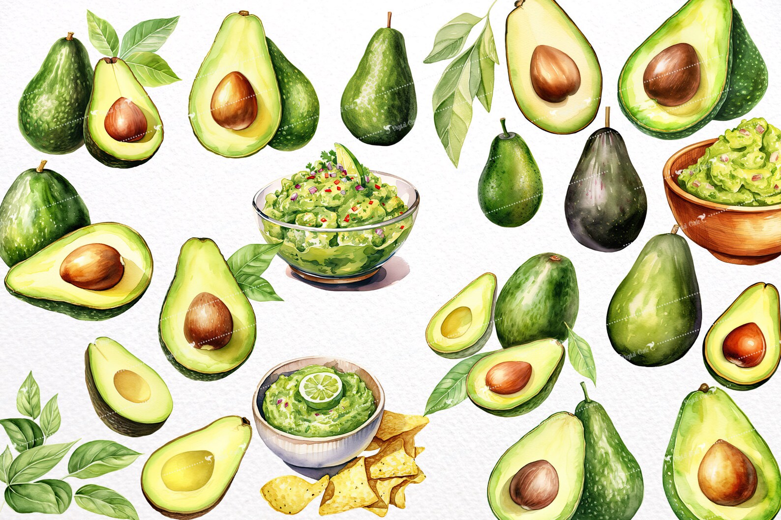 Watercolor Avocado Clipart Avocados and Guacamole Graphics in PNG ...