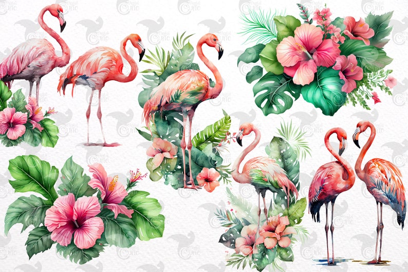 Watercolor Flamingo Clipart Tropical Birds With Flowers and - Etsy