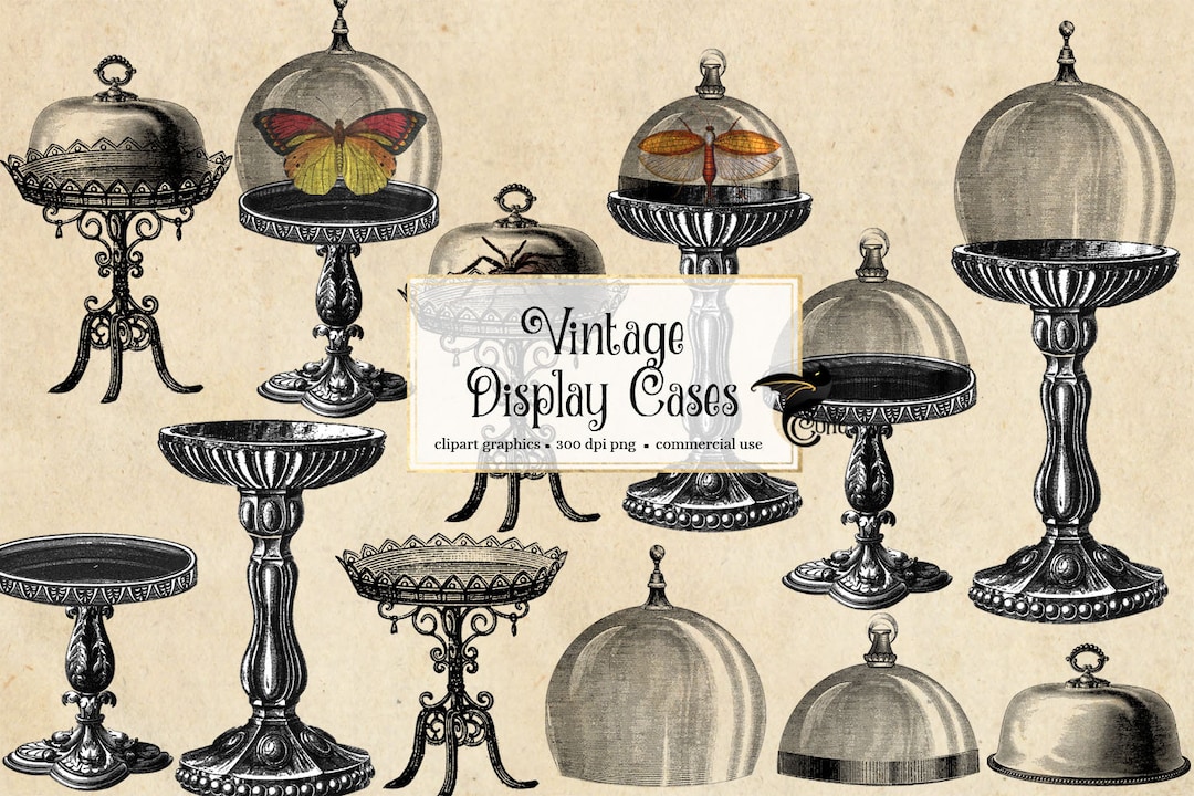 Vintage Display Cases Clip Art - Antique Illustrations of Glass Cases ...