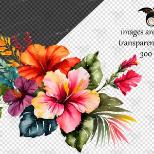 Watercolor Hibiscus Clipart, Tropical Bouquets and Flowers PNG Clip Art ...