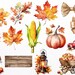 Watercolor Fall Decor Clipart - Autumn Watercolor in PNG Format Instant ...