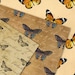 Vintage Butterfly Digital Paper, Vintage Printable Butterflies ...