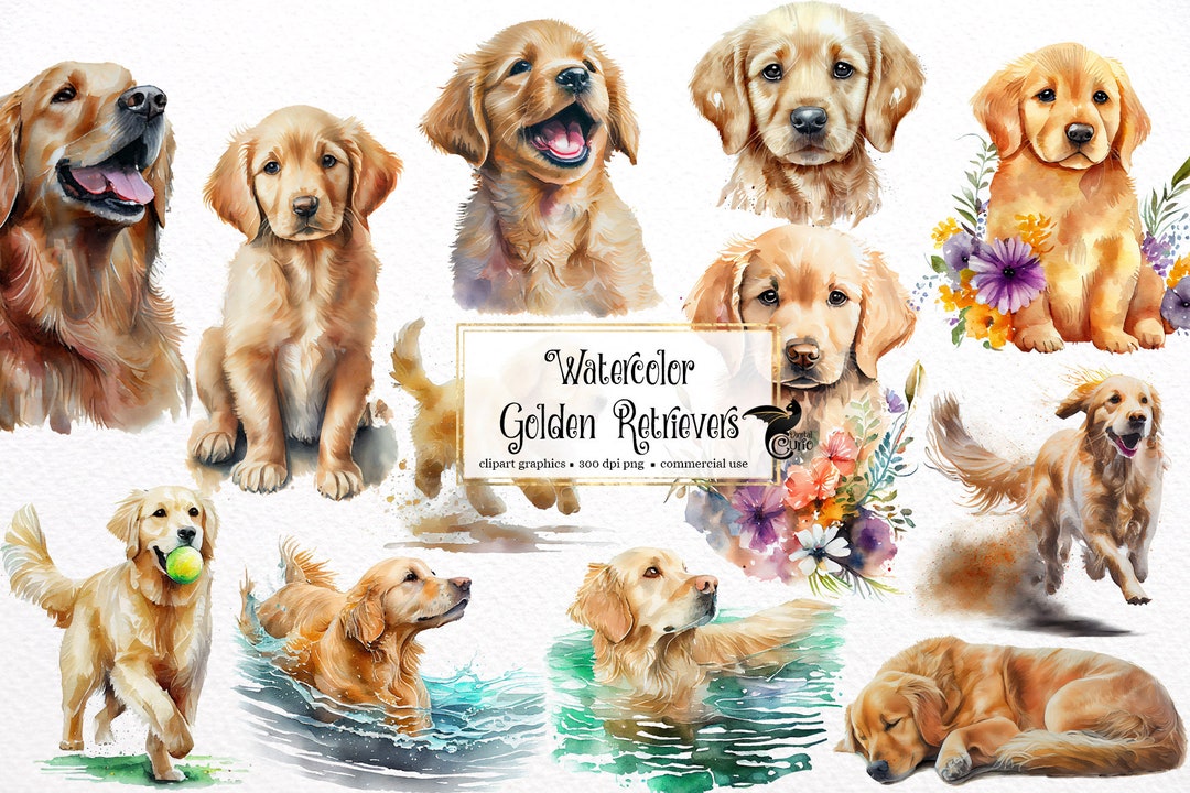 Watercolor Golden Retriever Clipart - Cute Dogs and Puppies PNG Format ...