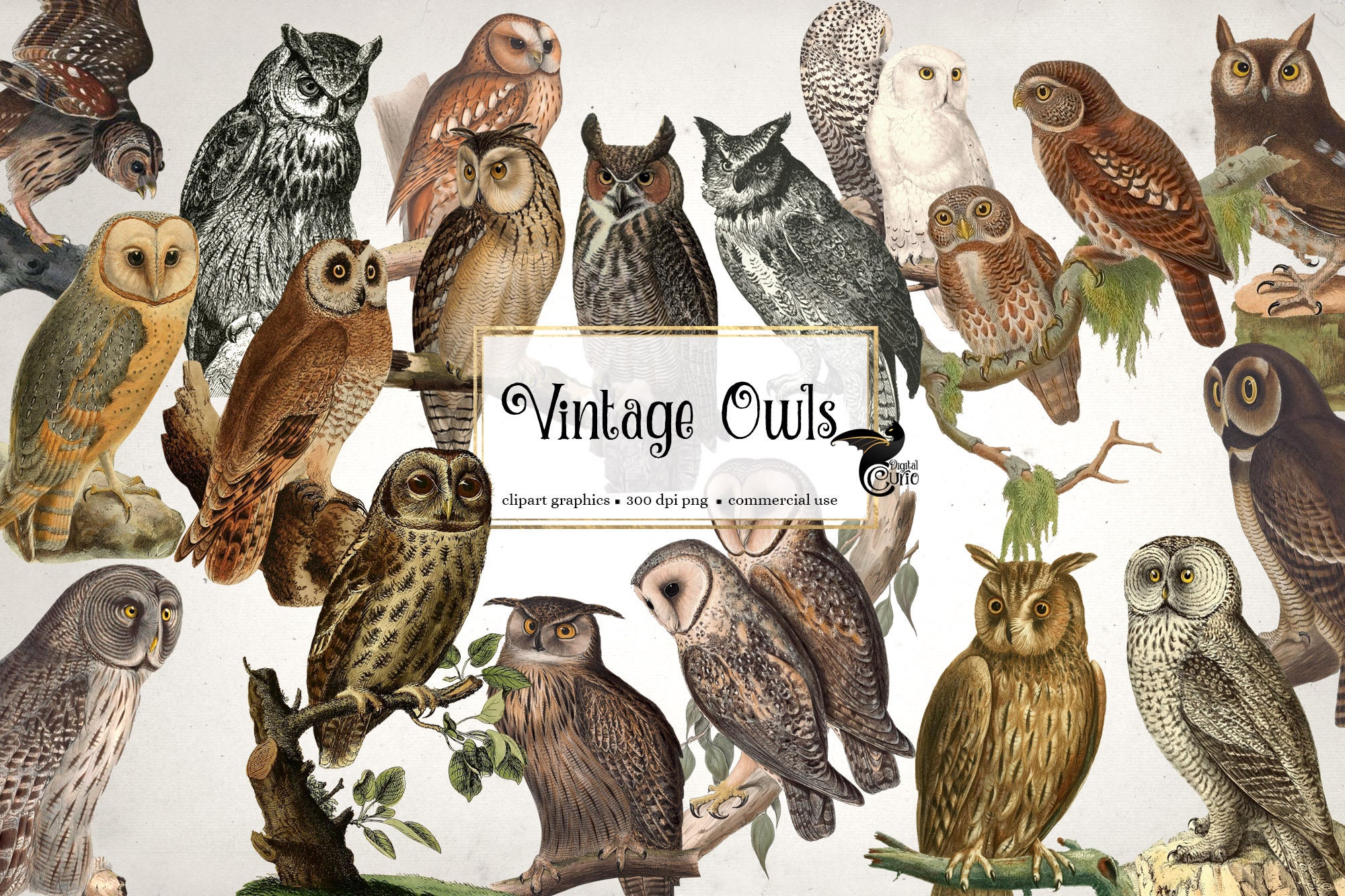Retro Owl Clip Art
