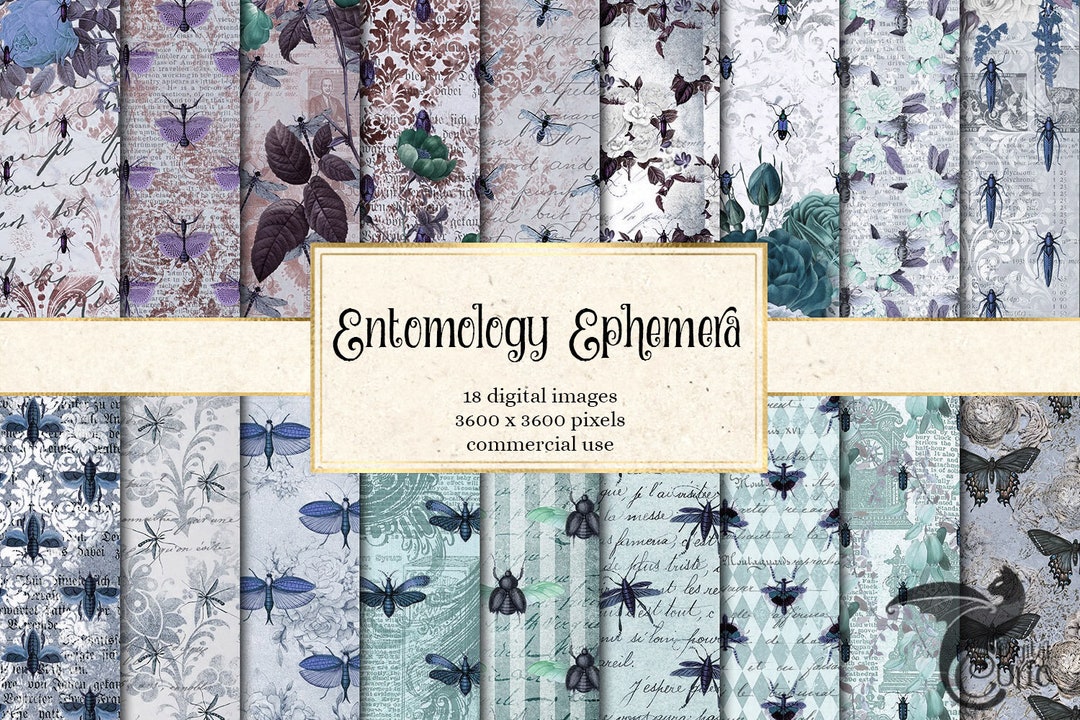 Entomology Ephemera Digital Paper, Rustic Textures With Vintage Bugs ...