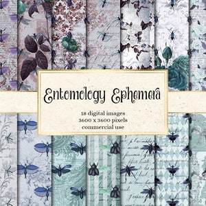 Entomology Ephemera Digital Paper, Rustic Textures With Vintage Bugs ...