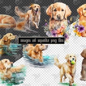 Watercolor Golden Retriever Clipart - Cute Dogs and Puppies PNG Format ...