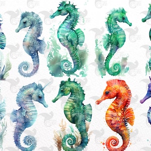 Watercolor Seahorse Clipart, Cute Nautical Ocean Animals PNG Clip Art ...