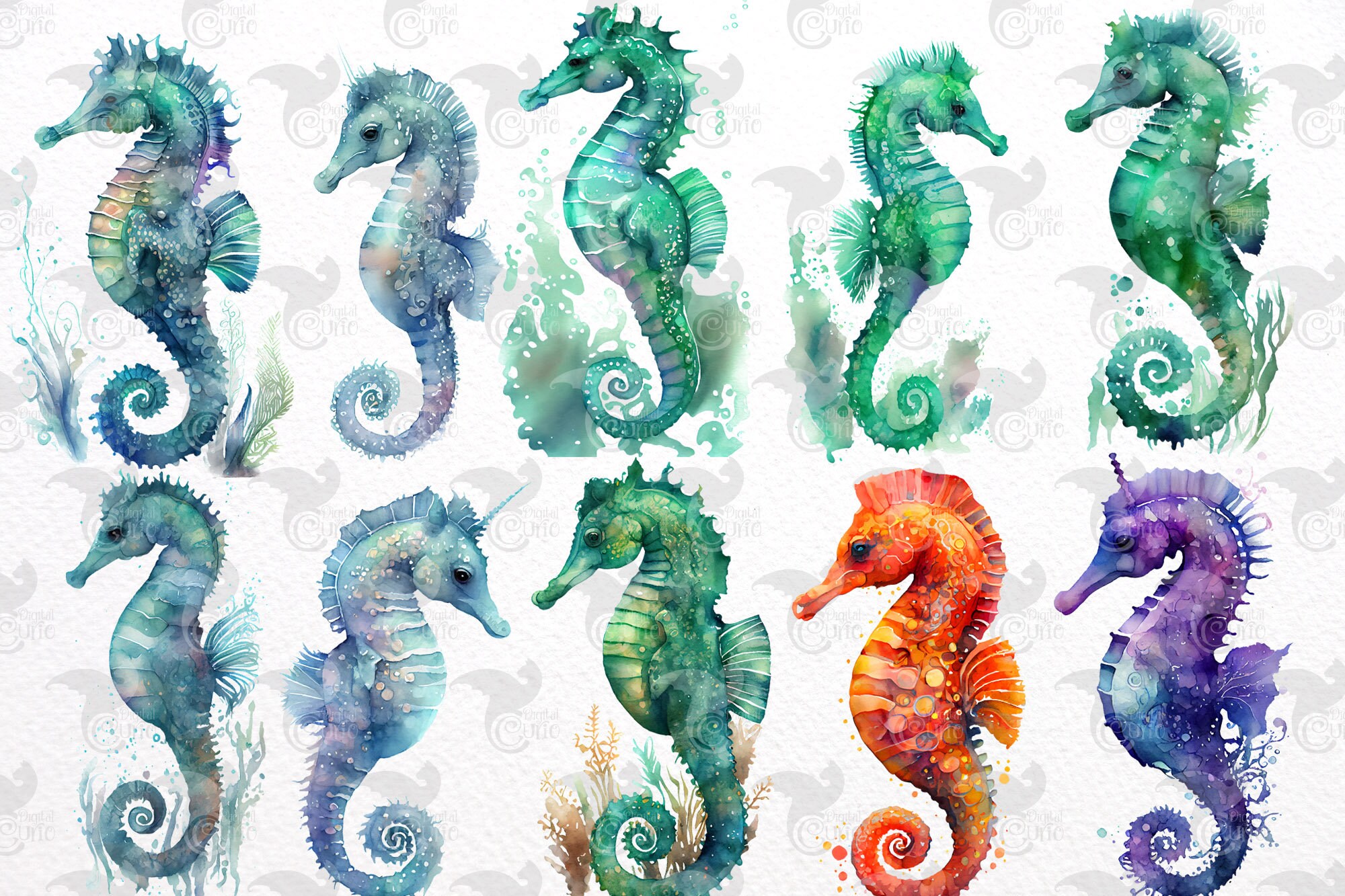 Watercolor Seahorse Clipart, Cute Nautical Ocean Animals PNG Clip Art ...