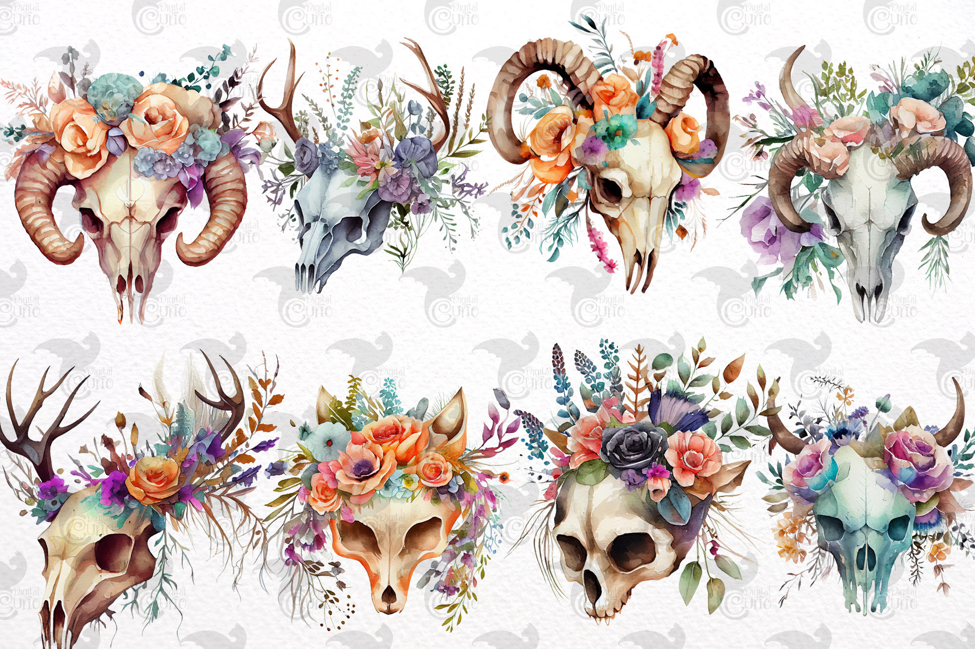 Animal Skulls And Flowers
