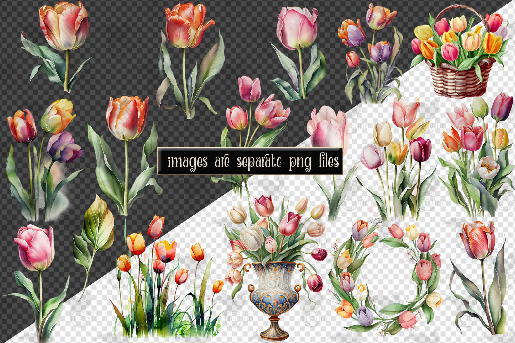 Watercolor Tulips Clip Art PNG Format Flower Clipart Instant - Etsy