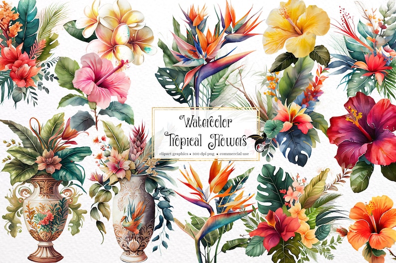 Watercolor Tropical Flowers Clipart Hibiscus and Plumeria - Etsy