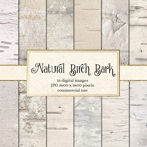 White Birch Bark Digital Paper Birch Tree Backgrounds White - Etsy