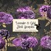 Lavender and Gold Floral Bouquets Clipart, Wedding Flower PNG (digital ...