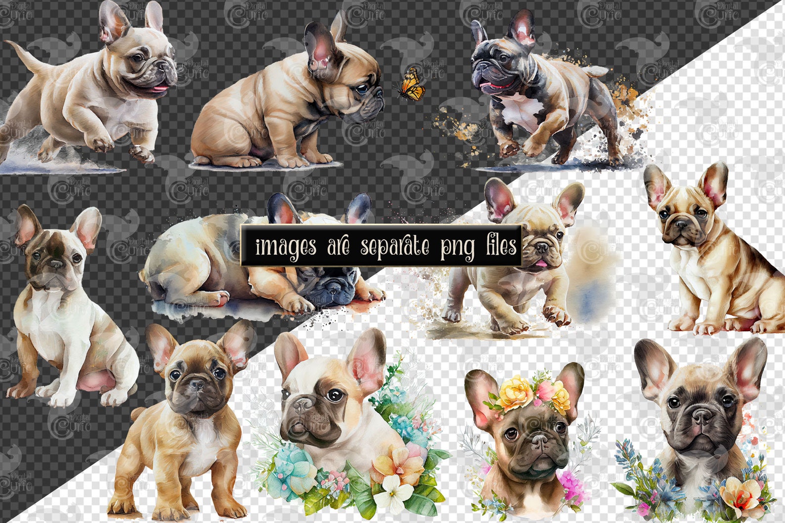 Watercolor French Bulldog Clipart Cute Frenchie Dogs and Puppies PNG ...