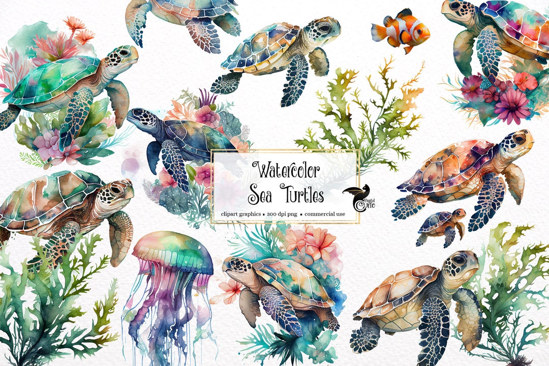 Watercolor Sea Turtle Clipart, Ocean Animals PNG (digital Download) - Etsy