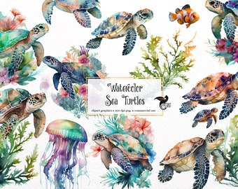Watercolor Sea Turtle Clipart, Cute Nautical Ocean Animals PNG Clip Art ...