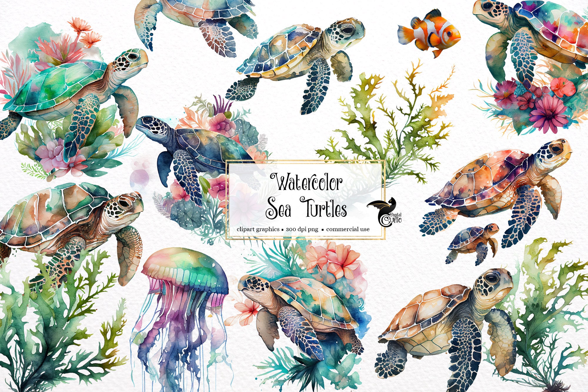 Watercolor Sea Turtle Clipart Cute Nautical Ocean Animals PNG - Etsy ...