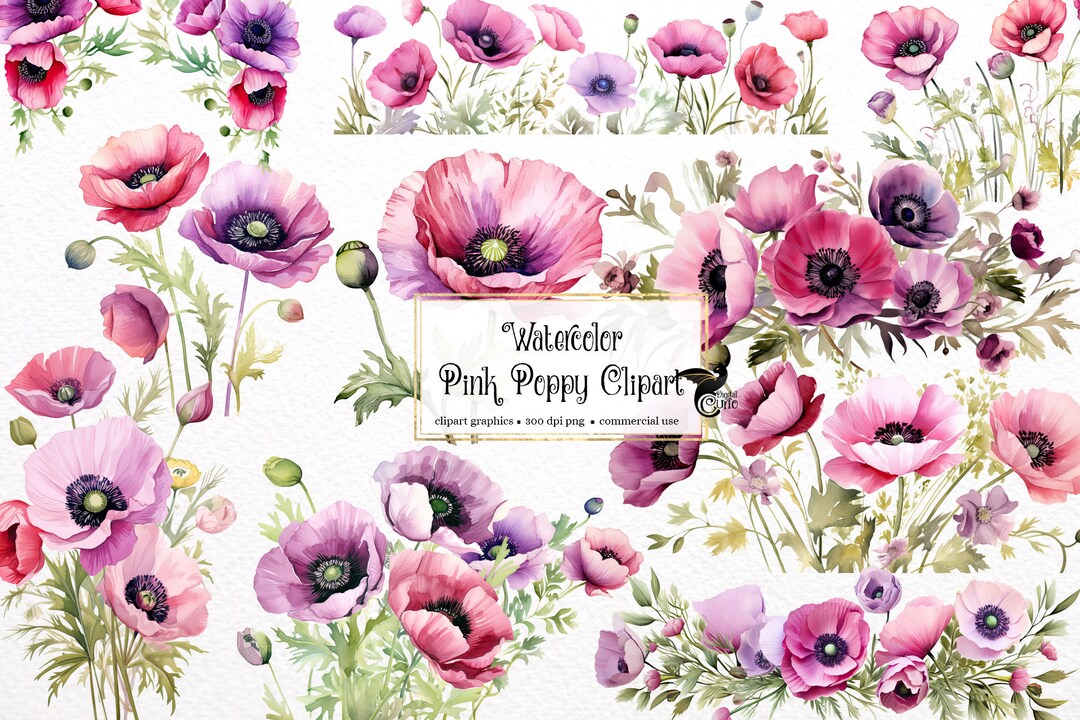 Watercolor Pink Poppy Clipart – Floral Bouquets, PNG Format (digital ...