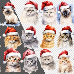 Watercolor Santa Cats Clipart - Cute Christmas Cats and Kittens PNG ...