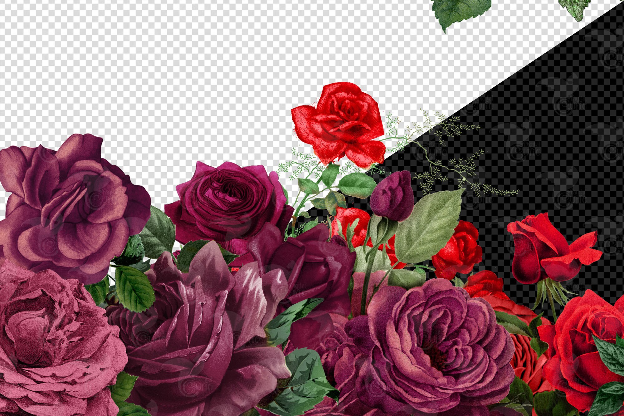 5x7 Vintage Red Rose Overlays for Invitations Planners - Etsy